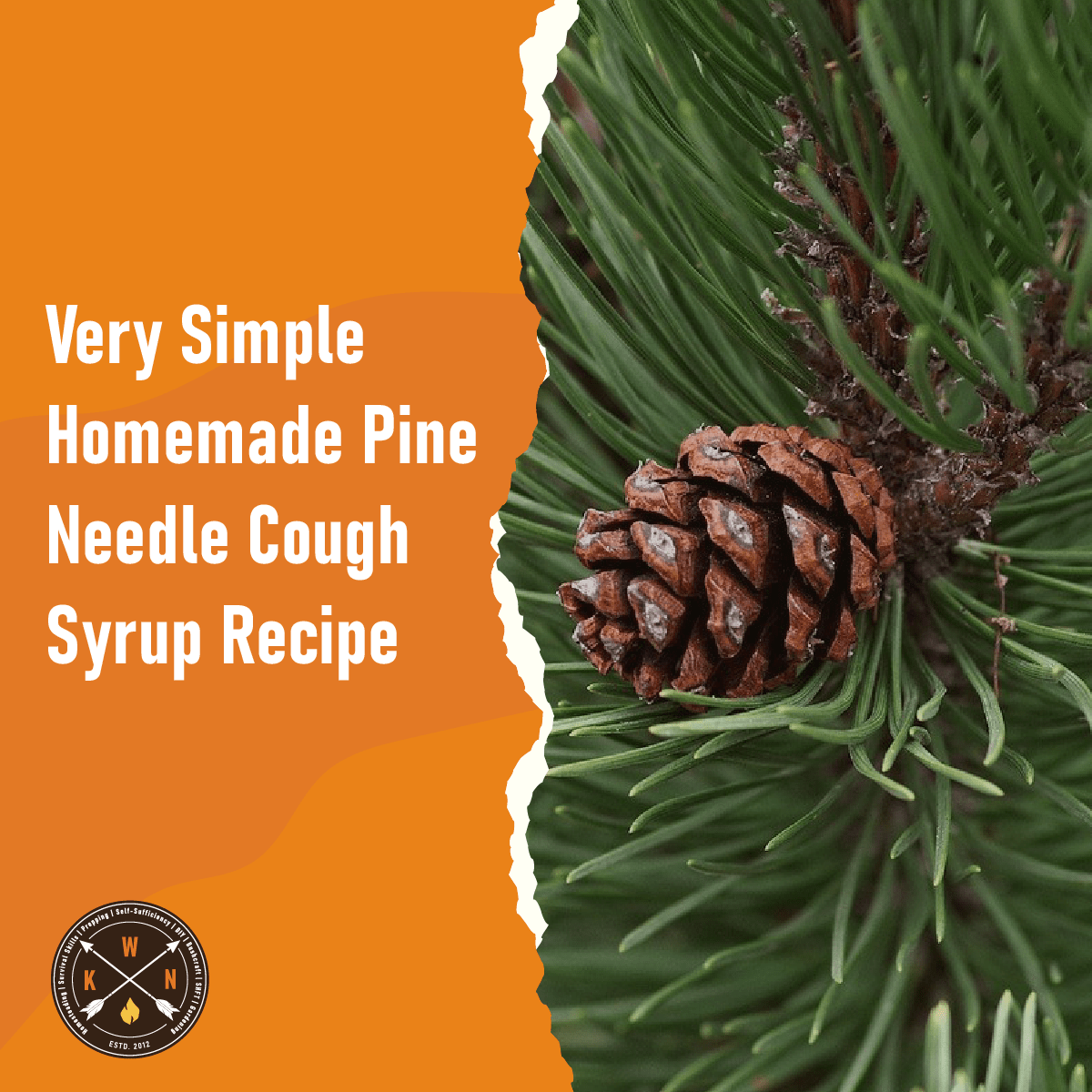 Very Simple Homemade Pine Needle Cough Syrup Recipe