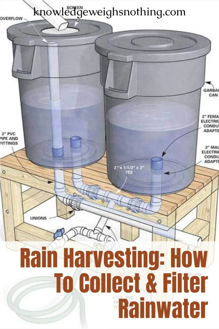 Rain Harvesting: How To Store & Filter Rainwater
