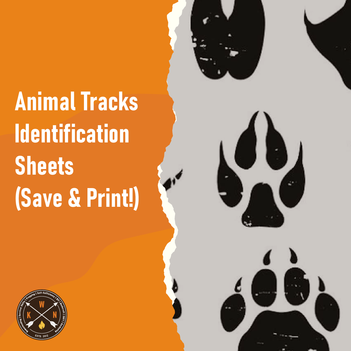 Animal Tracks Identification Sheets (Save & Print!)