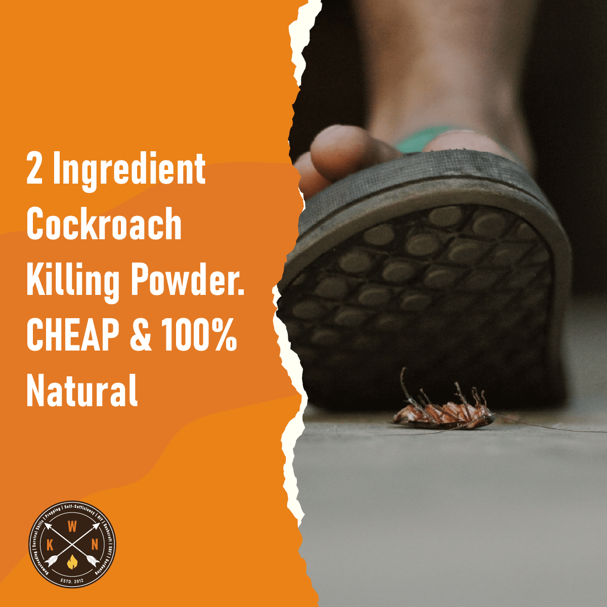 2 Ingredient Cockroach Killing Powder. CHEAP & 100% Natural