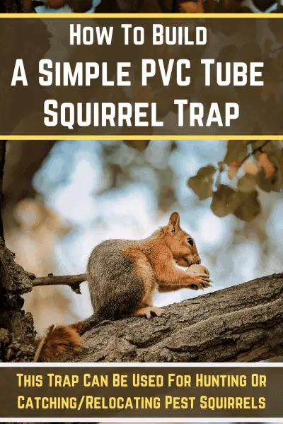 How To Build A Simple PVC Tube Homemade Squirrel Trap