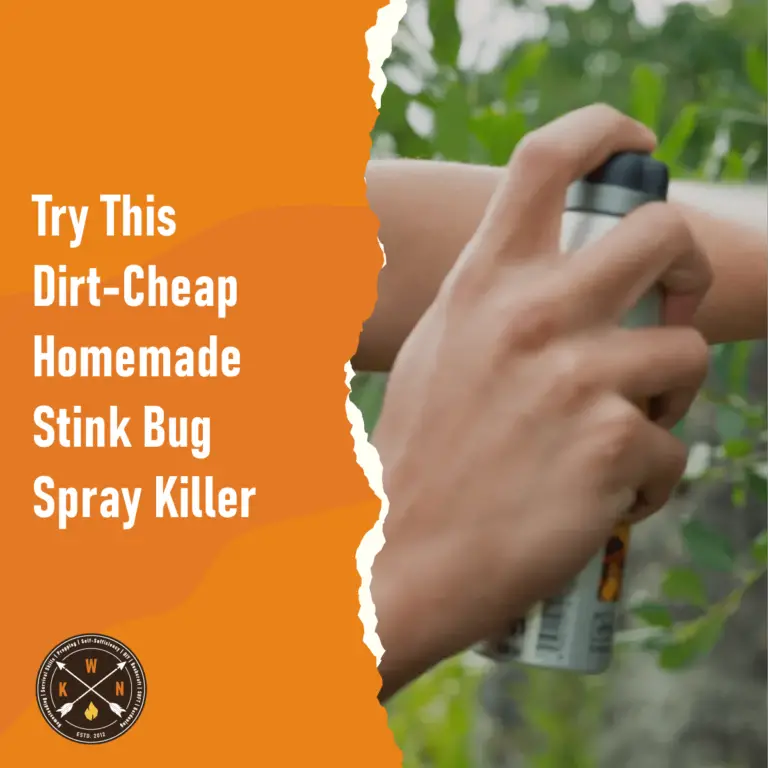 Try This Dirt-Cheap Homemade Stink Bug Spray Killer