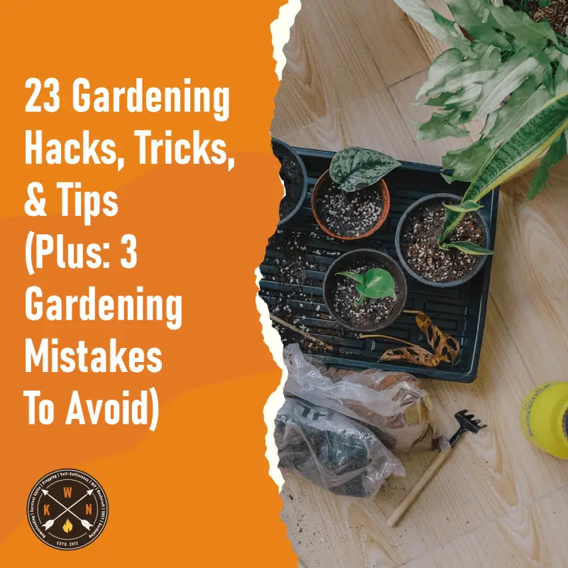 23 Gardening Hacks, Tricks, & Tips (Plus: 3 Gardening Mistakes To Avoid)