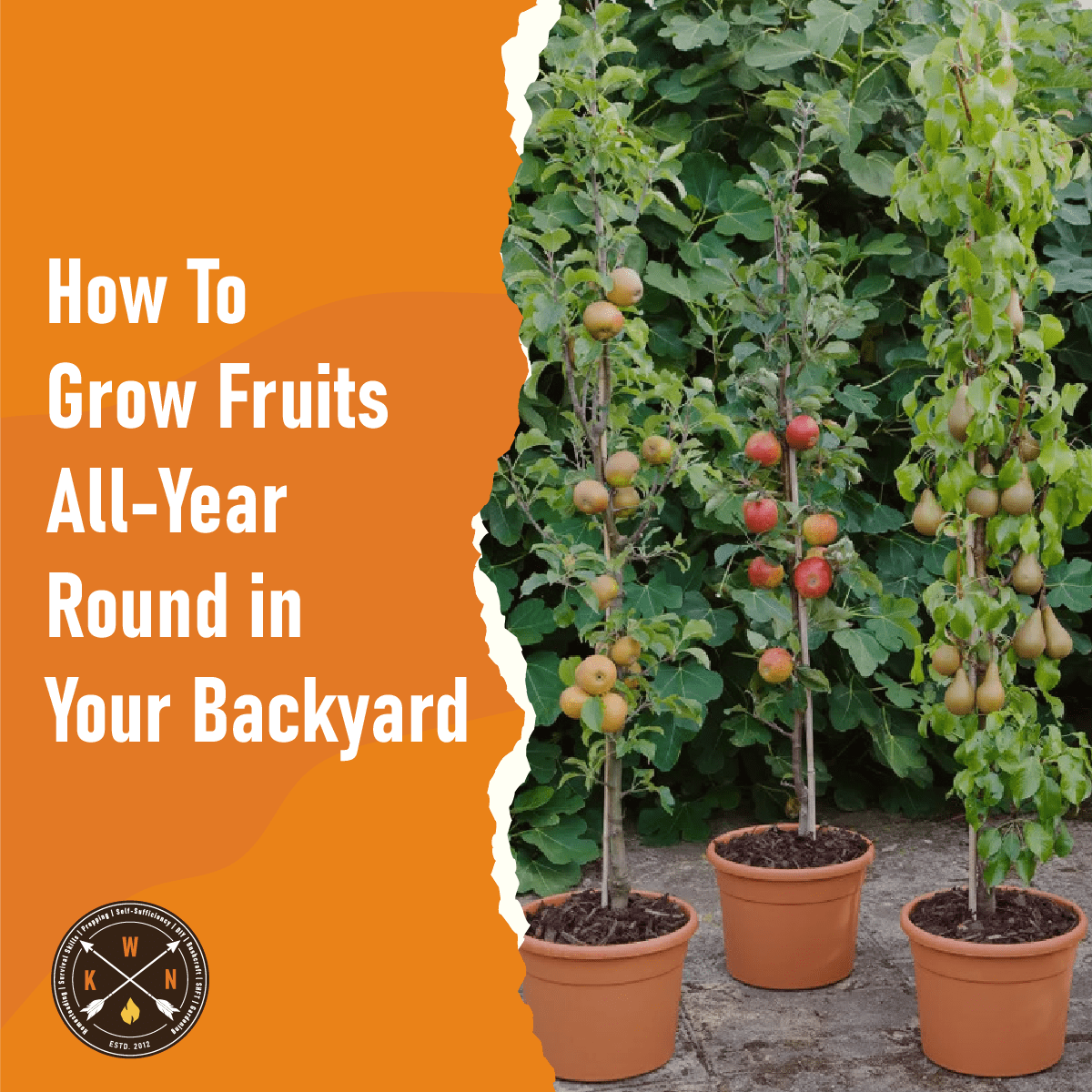 How To Grow Fruit All-Year Round